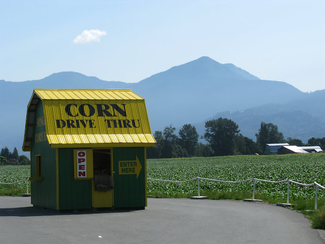 My Front Porch: Chilliwack corn...