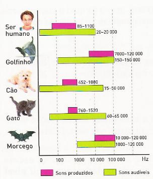 Ondas Sonoras: Ultrassom e Infrassom