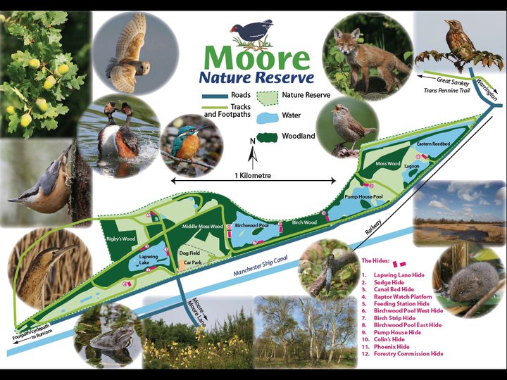 Moore Birds and Birding...: MAPS - Part 1: introduction to the pools