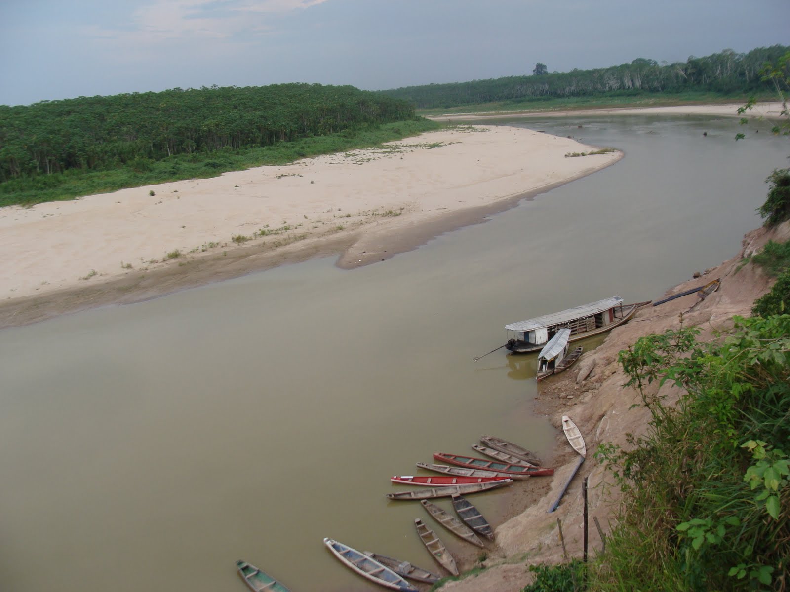 PURUS ON LINE: Belezas do Purus