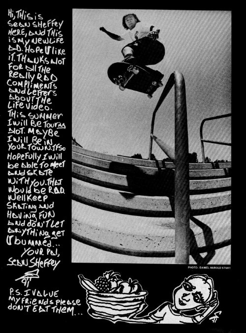 SECRETFORTS: The Once Future Boy King: Sean Sheffey.