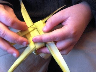 Along Life's Road: Braiding Palms