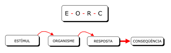 PSICUIDADO2013MikelMontero