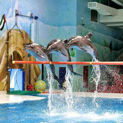 uitentuis: Dolfyne in Dubai