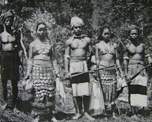 Sarawak, Dayak Heritage And Various Stories: RENTAP DAYAK WARRIOR ON ...