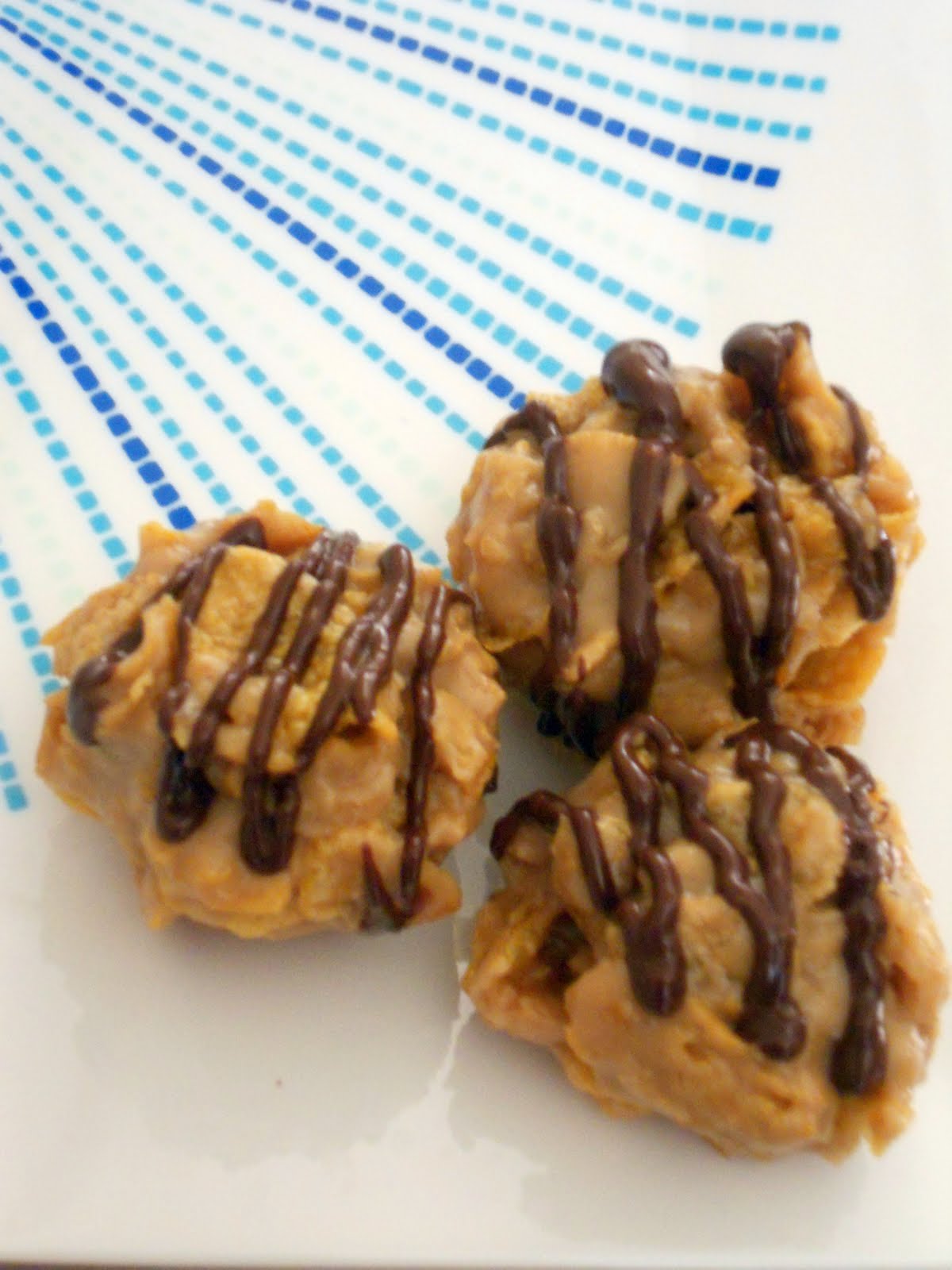 The Year Of The Cookie Peanut Butter Chewies With Chocolate