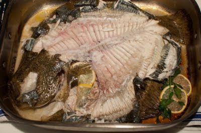 Whole Turbot - What A Fish