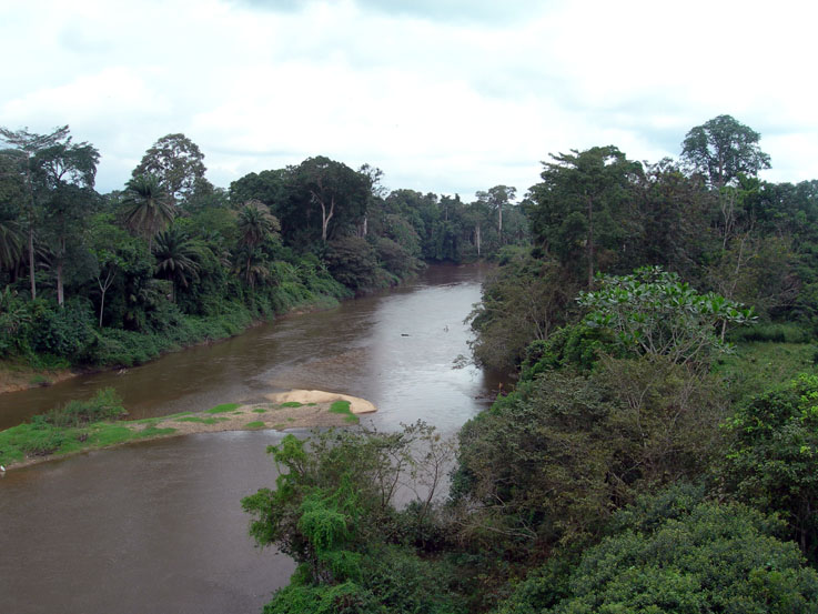 Pictures of African Cocoa Farming: Rivers (1)