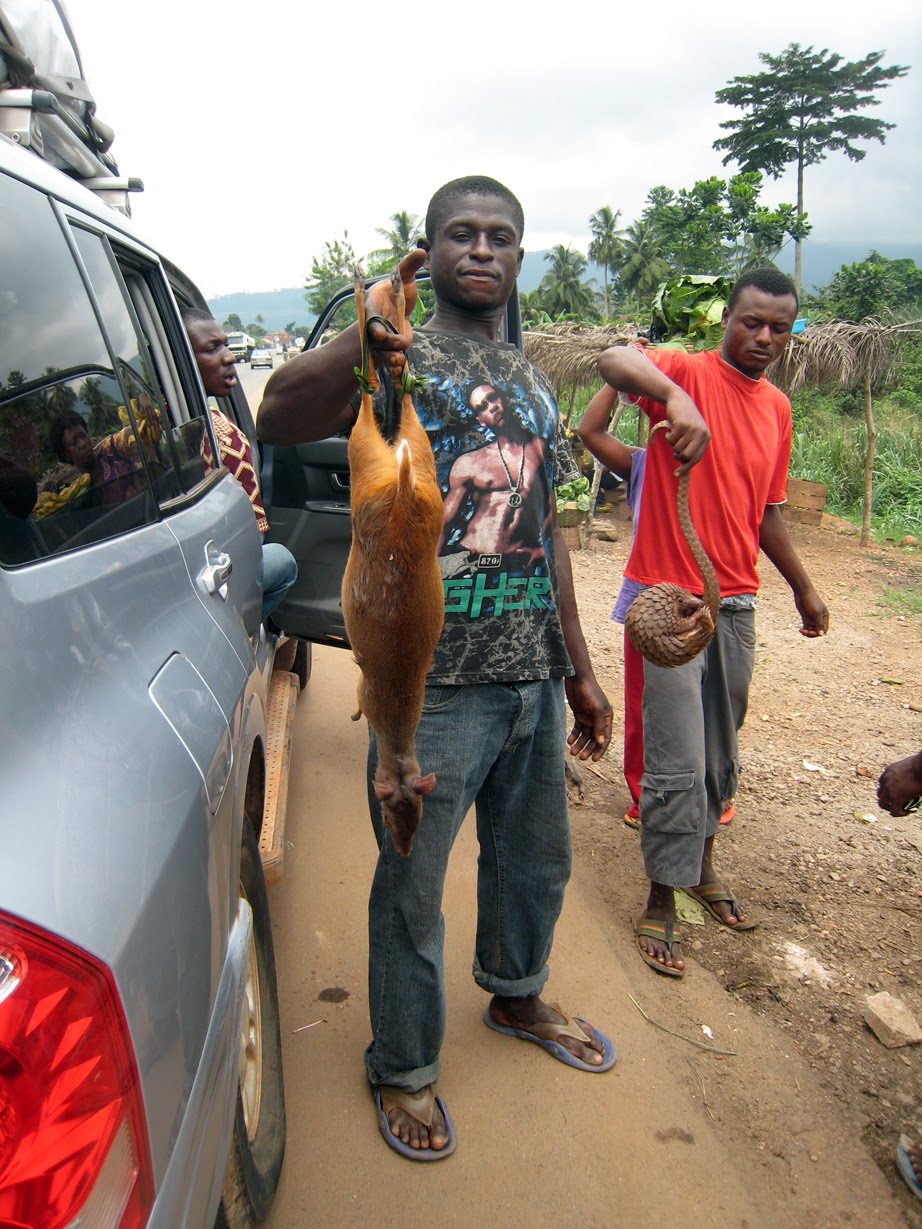 Pictures of African Cocoa Farming: Bush Meat (12)