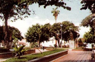 loureen moda: ZARZAL