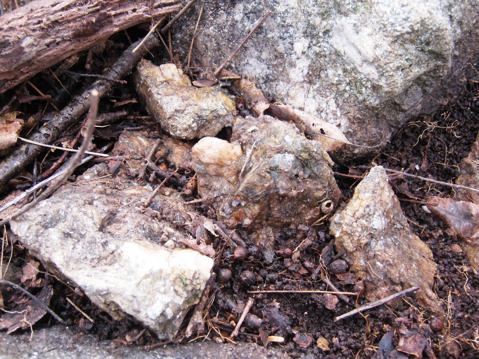 Waking Up on Turtle Island: xenolith/xenocryst