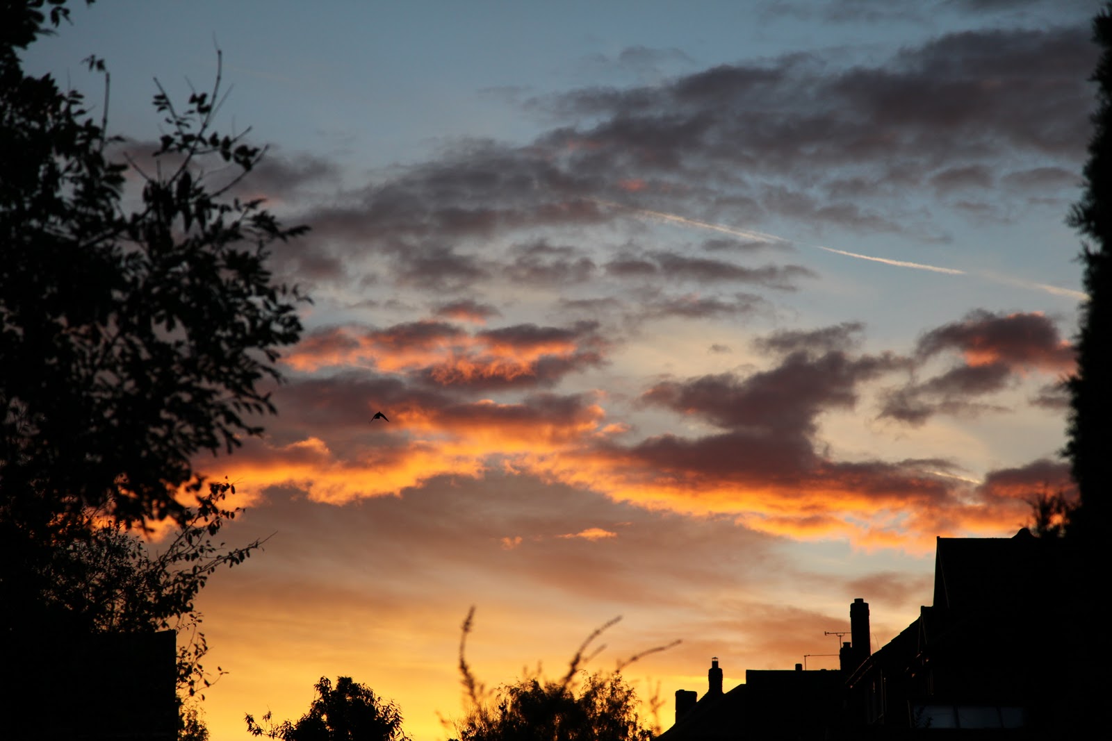 Ness Photography: Research Colin Prior