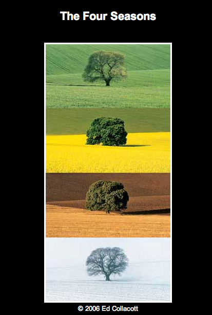 Ness Photography: Research - Ed Collacott