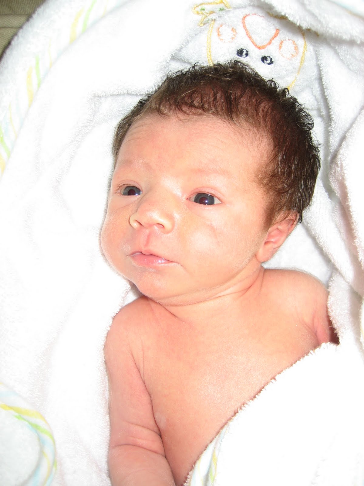 Loopie Lunds: Our Baby Girl is 1 Week Old...