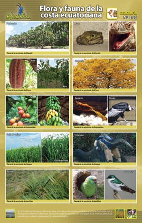 ZOOLOGIA EN EL ECUADOR : ANIMALES DE LA REGION COSTA