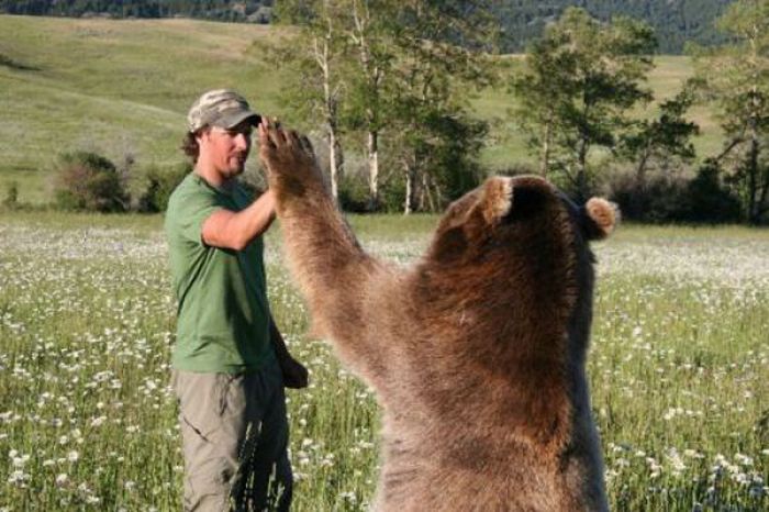Animals Giving a High Five | LOL PICTURE GALLERY