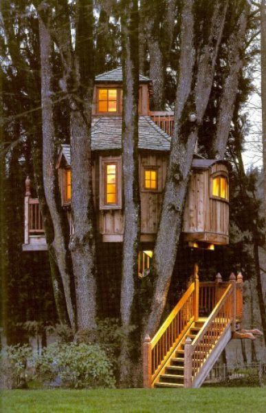 Izonews: Amazon Tree Houses, Beautiful