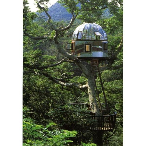 Amazing Tree Houses in Amazon