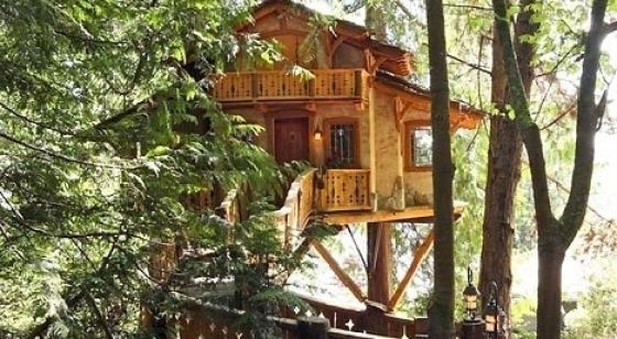 Izonews: Amazon Tree Houses, Beautiful