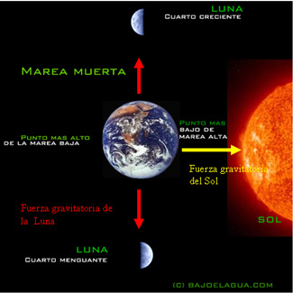 La luna: Mareas