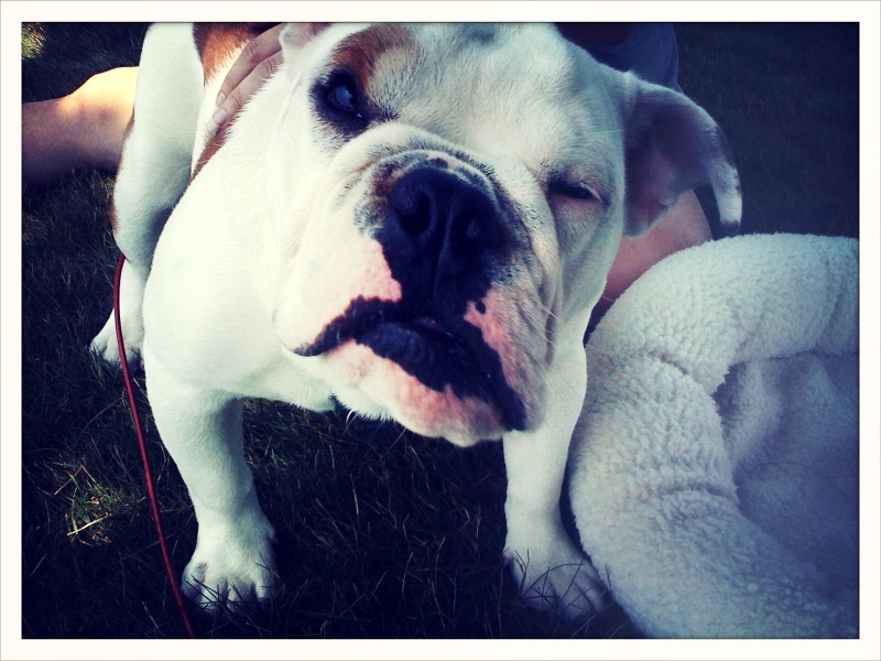 kate and geoff: Chow-Dah