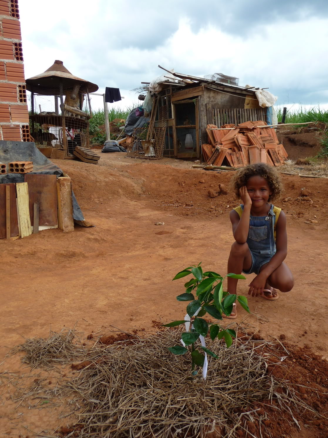 6/20/10 - 6/27/10 | Food for Thought Insider