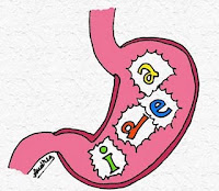 Que Hacer con la Digestión Lenta : el amor de hogar