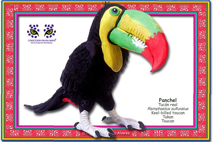 COLECCIÓN FAUNA MAYA: TUCÁN REAL