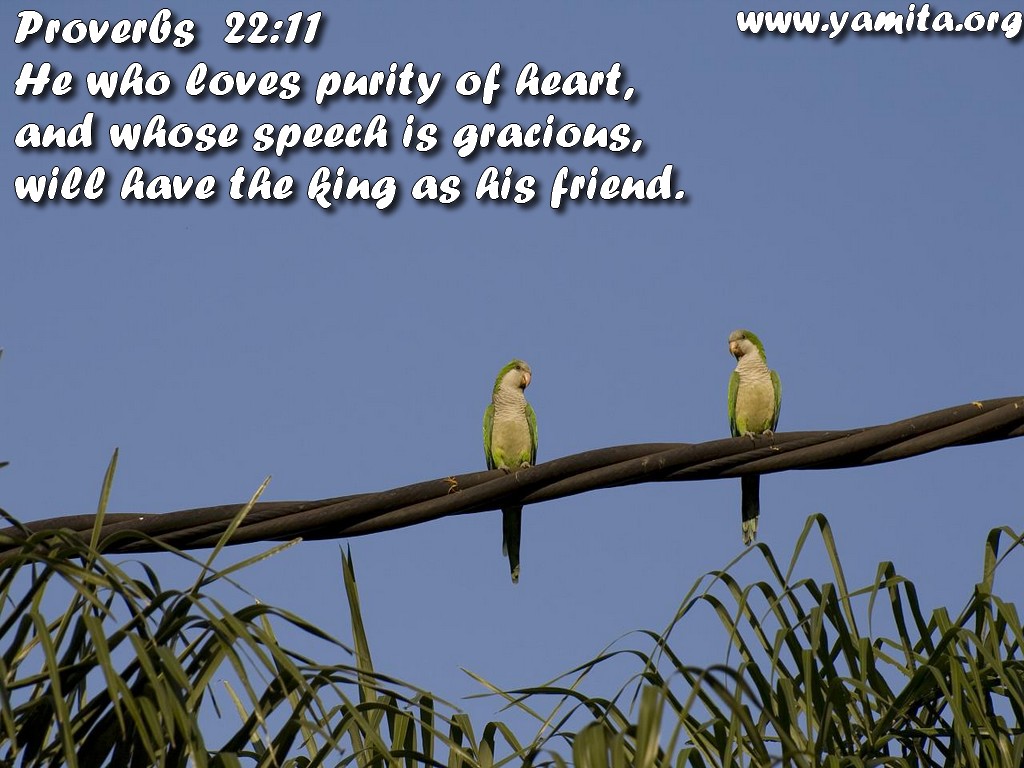 Christian Wallpaper: He who loves purity of heart