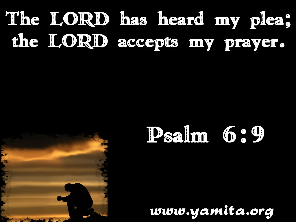 Christian Wallpaper: The LORD has heard my plea