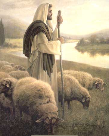 ESTRELA RELUZENTE: o que dizer de um pastor?