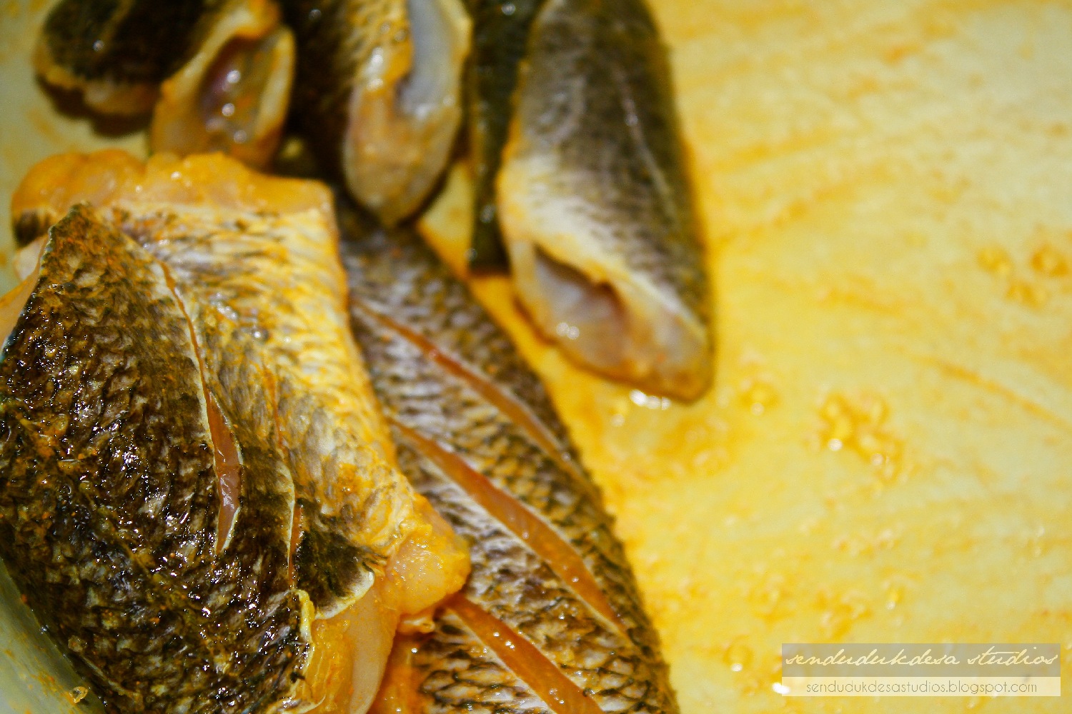 sendudukdesa journal: Ikan Haruan Garam Kunyit