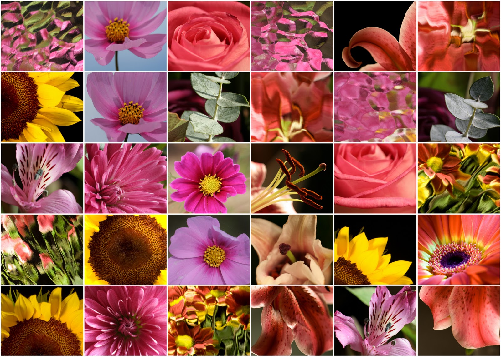 Enjoy All Life Has to Offer!: Photography Assignment - Final