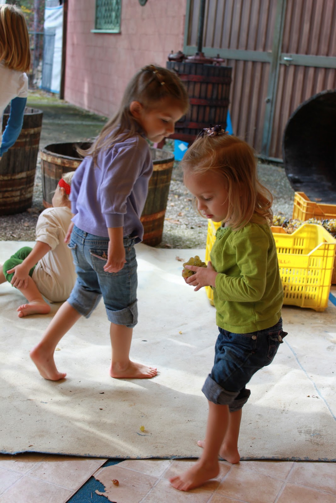 When in Naples...: Grape Stomping