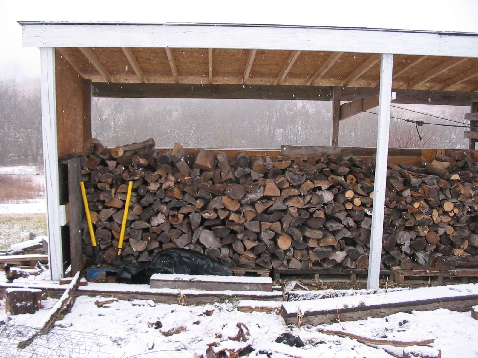Viking Preparedness: Out Behind the Woodshed...