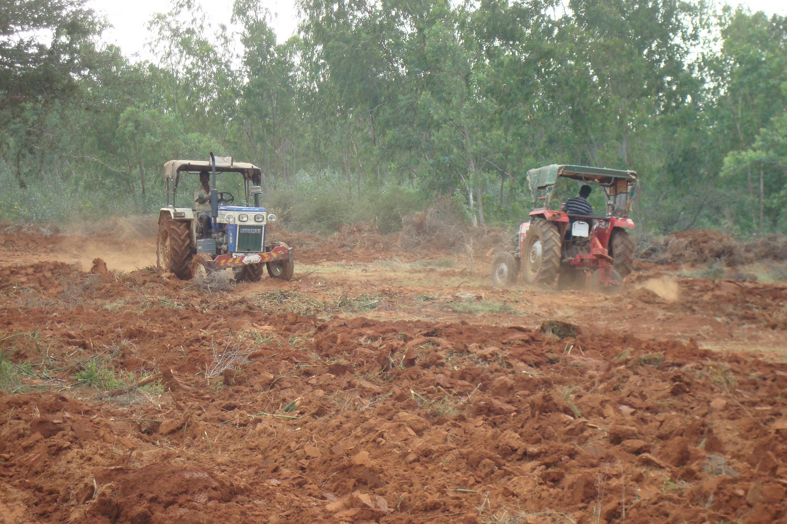 Techie2Aggie: Land improvement complete!!