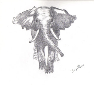 Las Pinturas de Riccardangelo: Elefante; lapiz. 2001