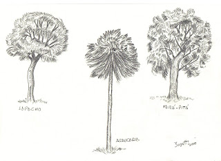 Las Pinturas de Riccardangelo: Lapacho, araucaria e ibirá-pitá. 2000