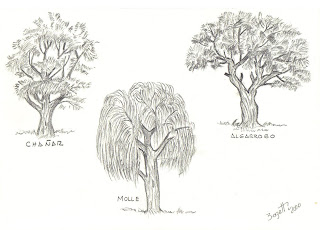 Las Pinturas de Riccardangelo: Chañar, molle y algarrobo. 2000