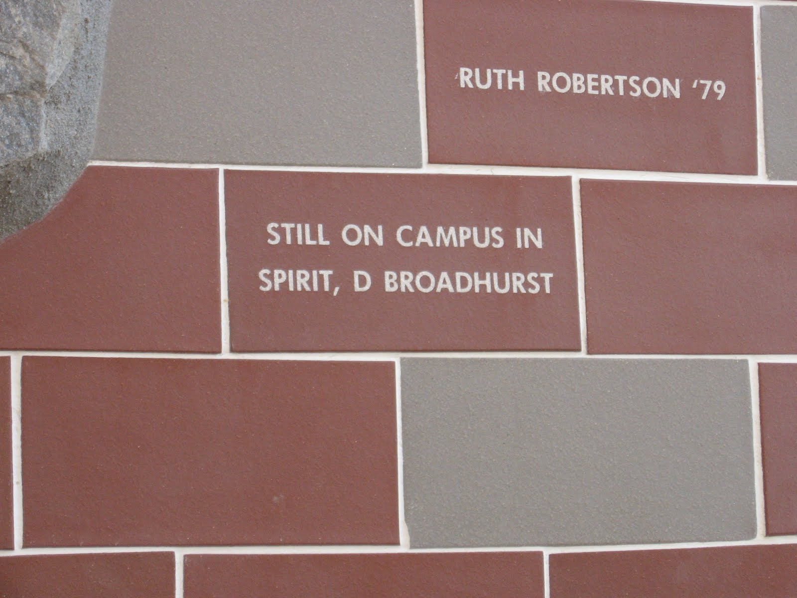 In Memory of Denise Broadhurst