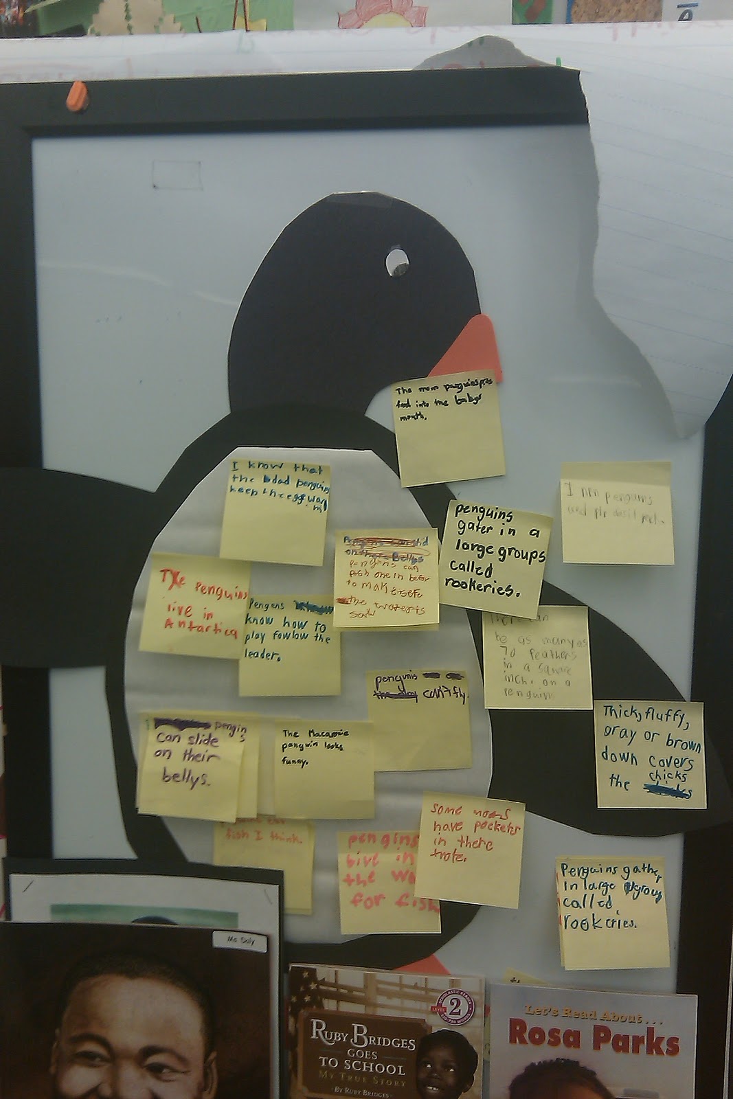 January 2011 | It's A Jungle In Here