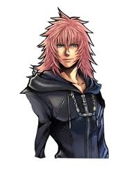 Kingdom Hearts Cosplay Costumes: Marluxia in Kingdom Hearts