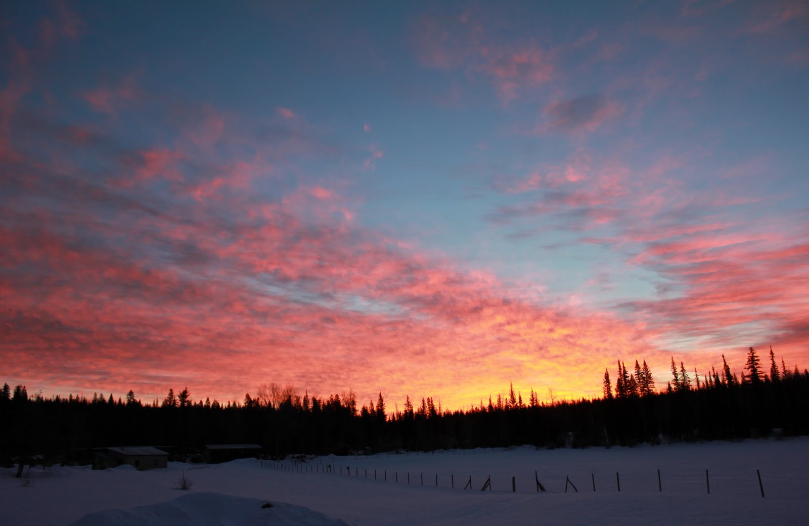 The Homestone: An early February Sunrise over the Meadow
