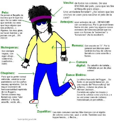 CANSO: infografia de flogger