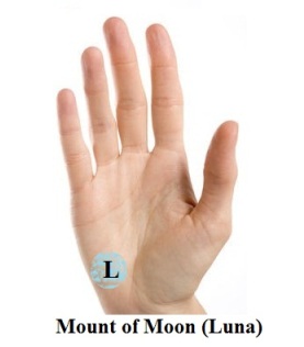 Mount Of Moon (Luna) on the Palm~PalmFate