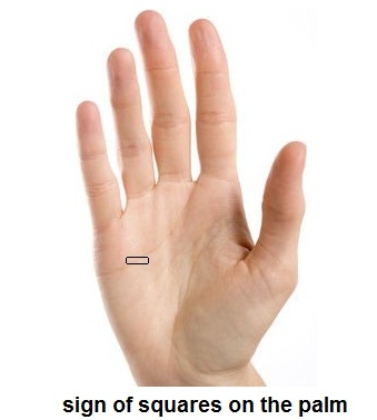 Auspicious "Sign of Square" on Your Palm~PalmFate