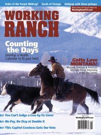 HORSES FOR HEROES New Mexico - Cowboy Up! 505-798-2535: Working Ranch ...