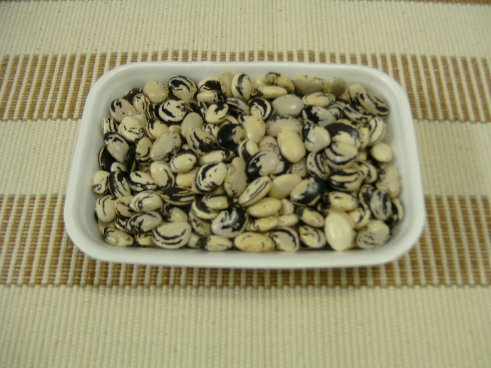 Feijão Fava - Na Biroskinha