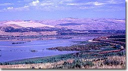 Riserva Naturale Oasi del Simeto