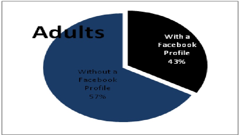 Effects of Facebook: Introduction